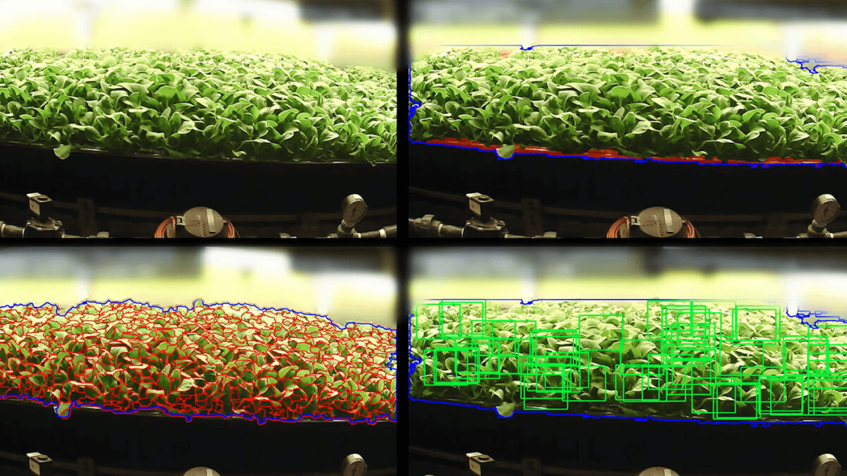 AeroFarms and Nokia expanding AI-enabled plant vision system across ...