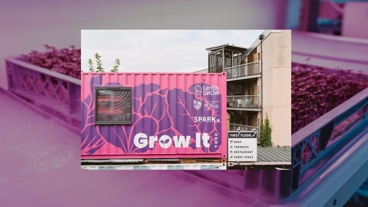 UK’s LettUs Grow and Grow It York bring vertical farming to community container park | Vertical ...