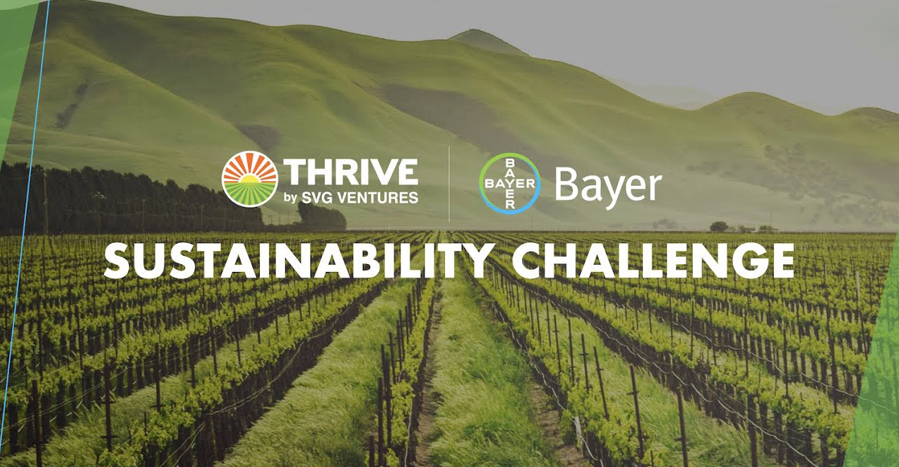 Sustainability Challenge Winners announced by SVG Ventures | THRIVE and ...