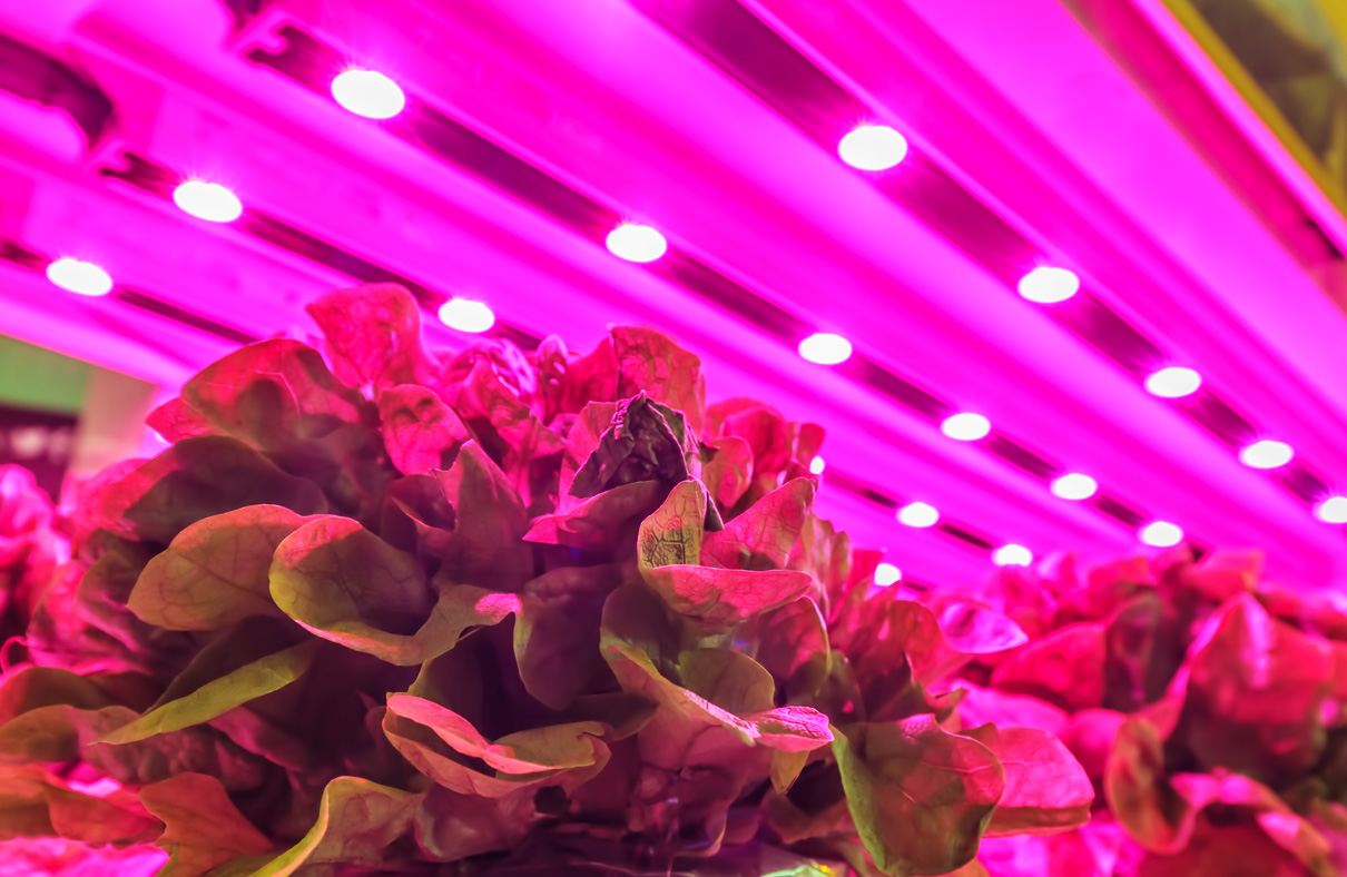 IGS and Eden Towers to build vertical farm in Perth, Australia ...