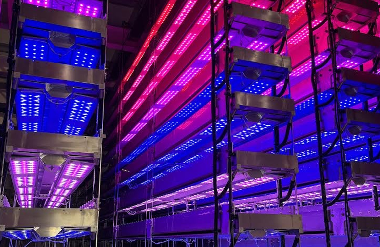 Vertical Future partners with HSL subsidiary | Vertical Farming Today