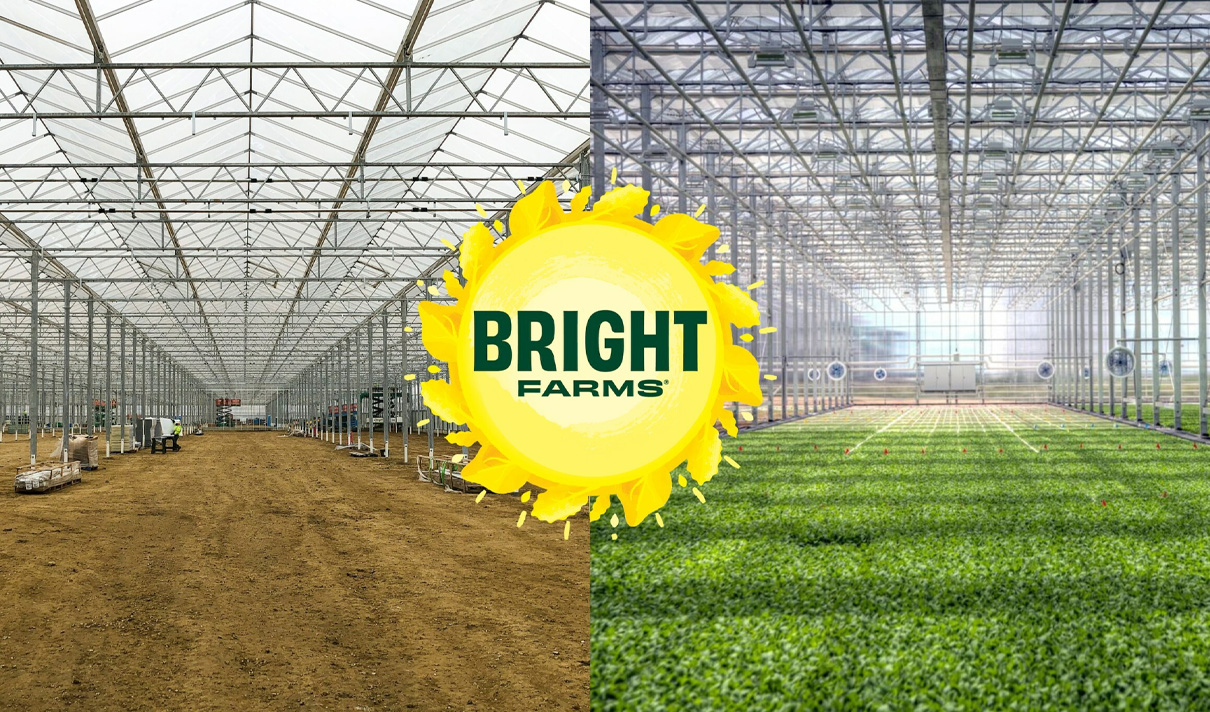 Four new regional greenhouse hubs for salad grower BrightFarms ...