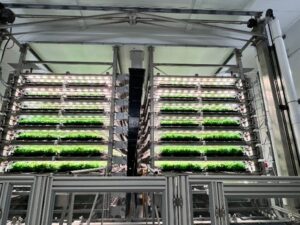Elevate Farms begins operations at first US farm | Vertical Farming Today