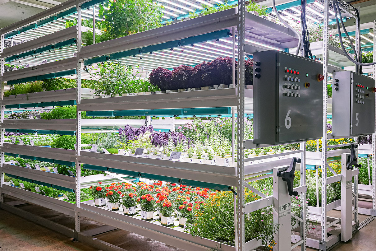 New York’s Farm.One re-opens Brooklyn vertical farm after finding new ...