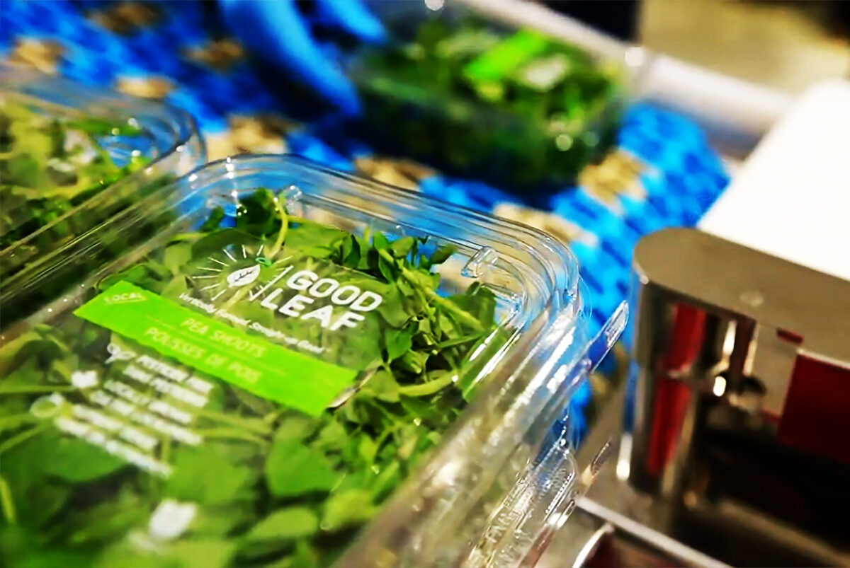 Canada's largest vertical farming company secures new financing ...