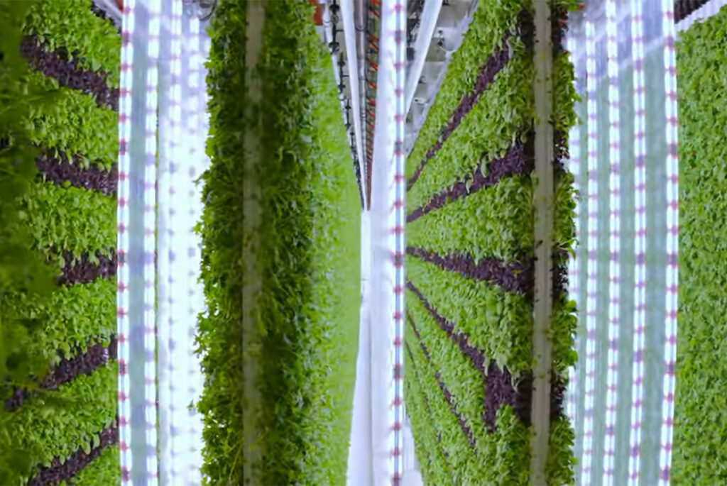 Plenty opens new technologically advanced indoor vertical farm in ...