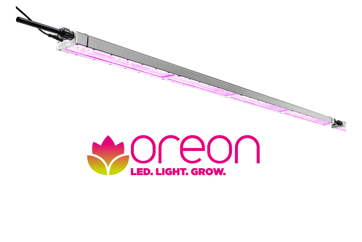 Embrace XL, Oreon's new water-cooled multilayer LED fixture | Vertical ...