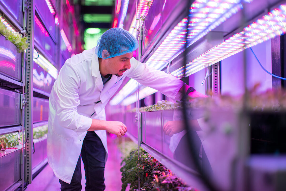 Vertical Future enters Indian market in partnership with MODI FRESH ...