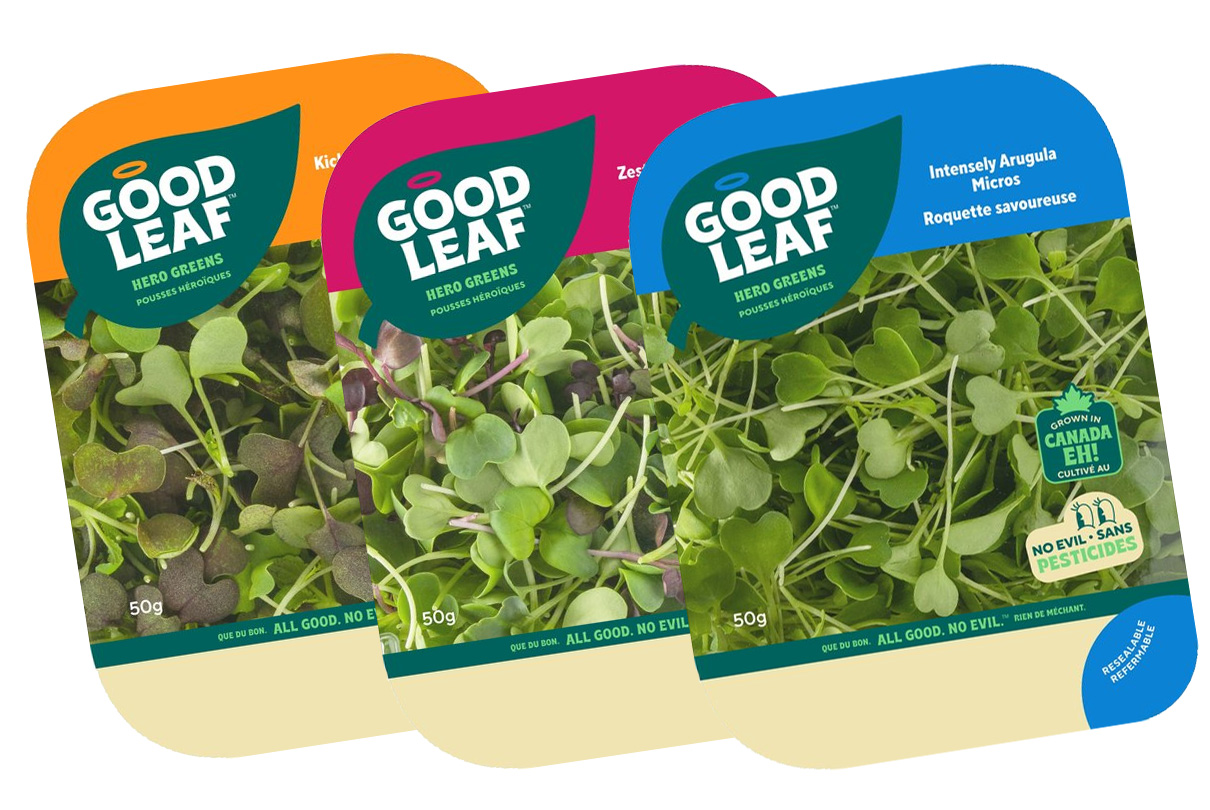 Test crops planted at GoodLeaf's latest vertical farm in Montreal ...